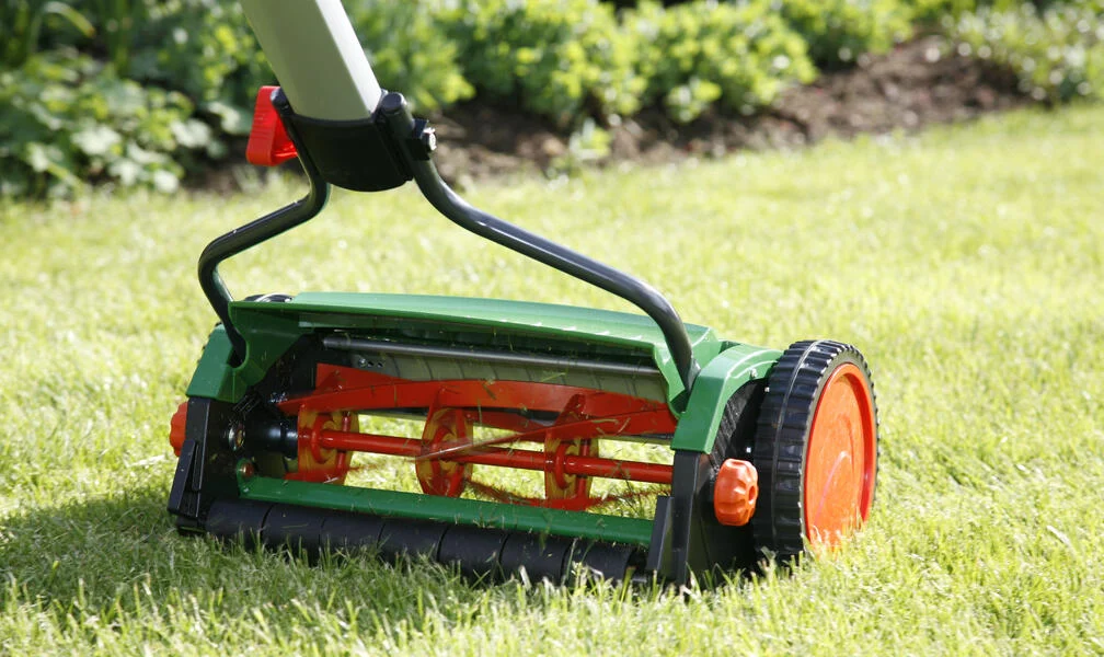 11 Tips For Mowing Your Lawn - Gardeninguru